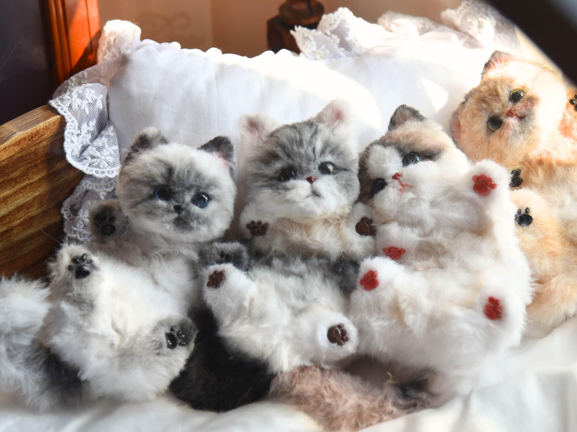 Custom Cat Plush Realistic Kitten Toy Personalized Stuffed Animal ...
