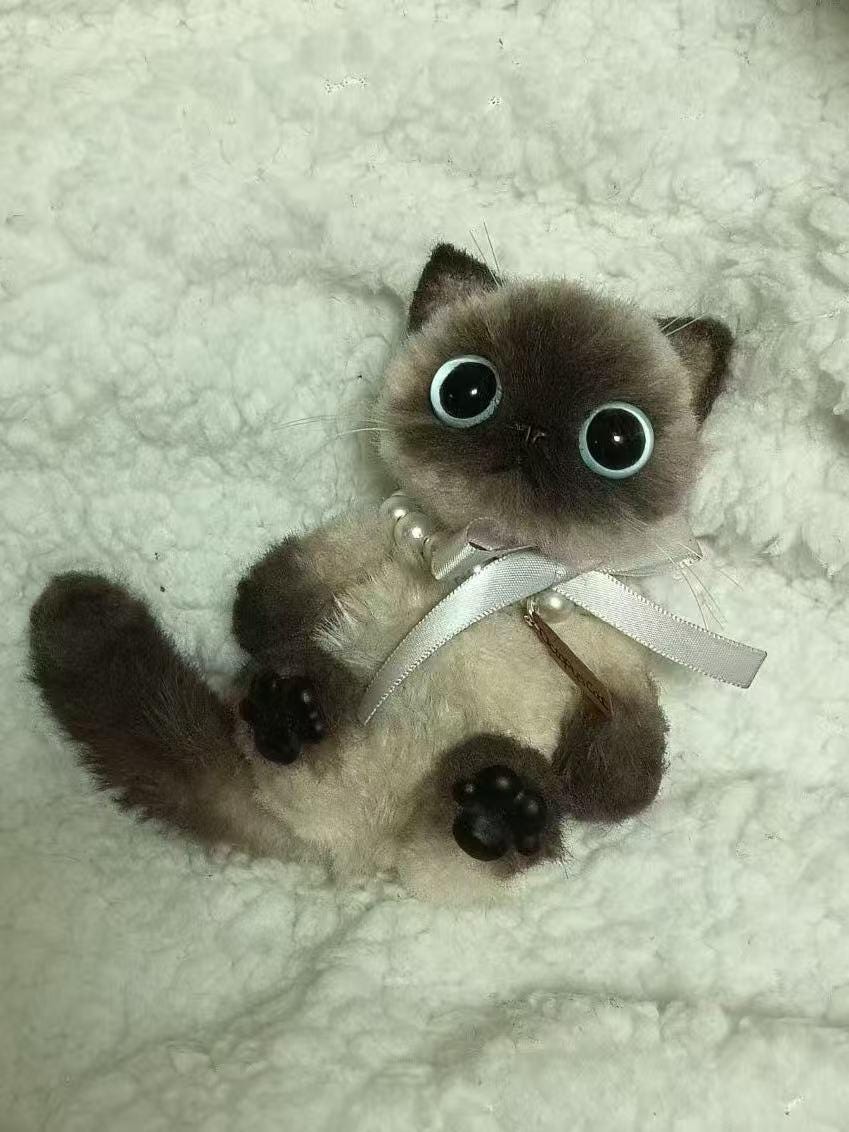 Custom Cat Plush,pocket-sized Doll,handmade Simulated Plush,cat Charm ...
