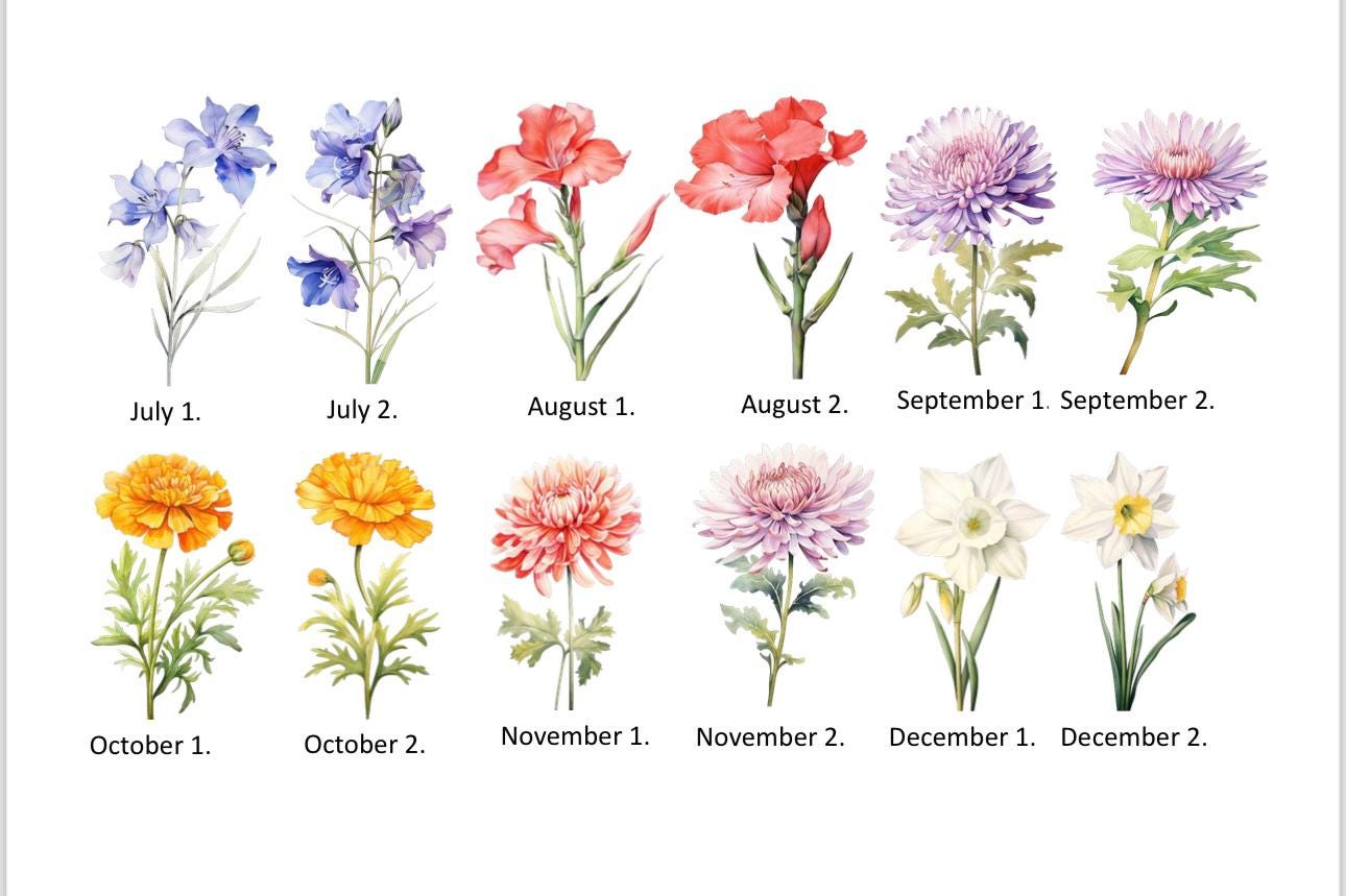 Personalised Birth Flower, Family Birth Flowers. - Etsy