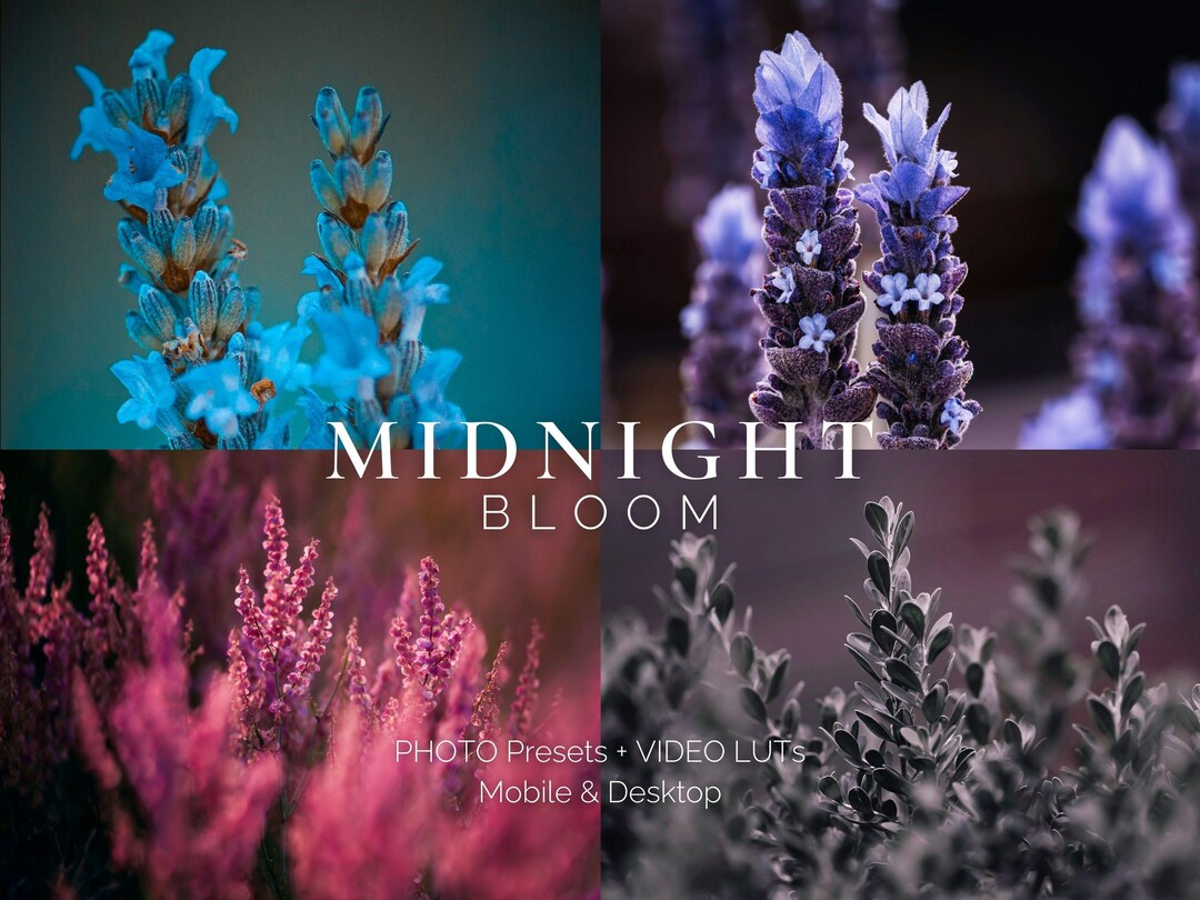 20 Midnight Bloom Presets and Luts, Mobile Desktop Lightroom Presets, Premiere Pro Video Editing ...