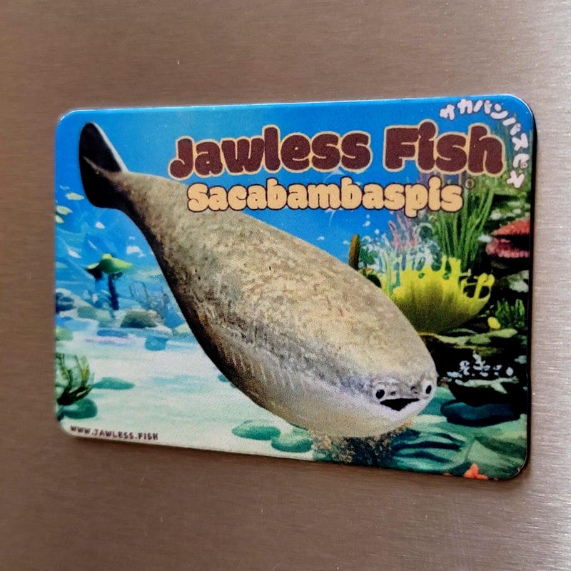 JawlessFish - Etsy