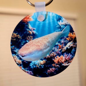 JawlessFish - Etsy