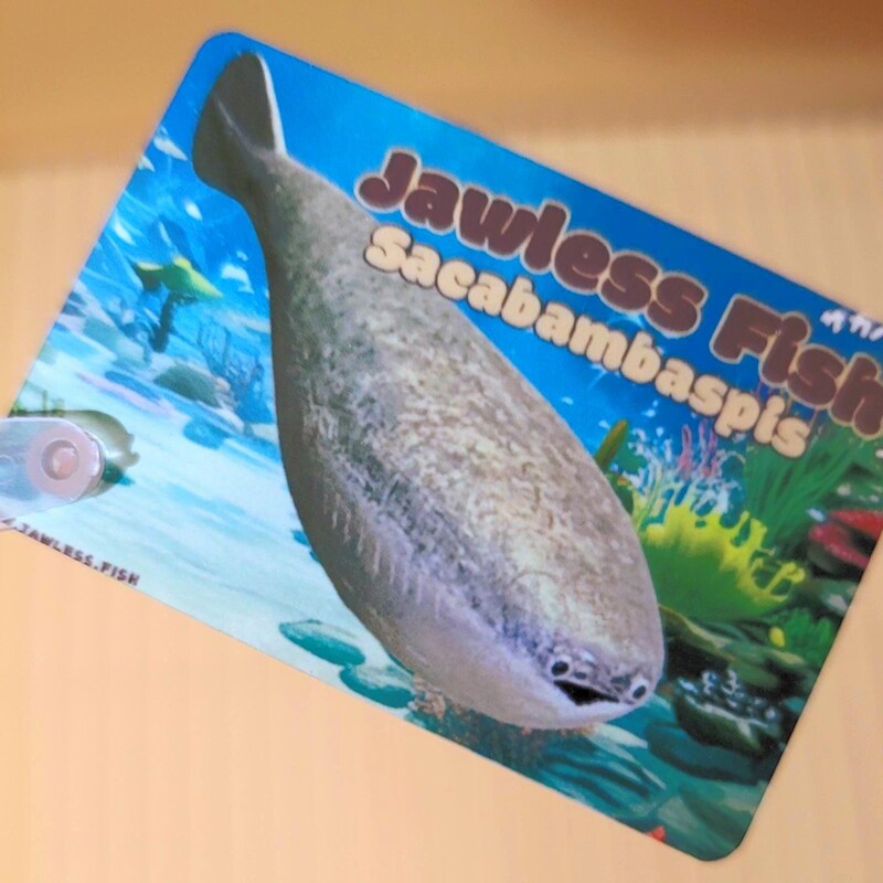 JawlessFish - Etsy