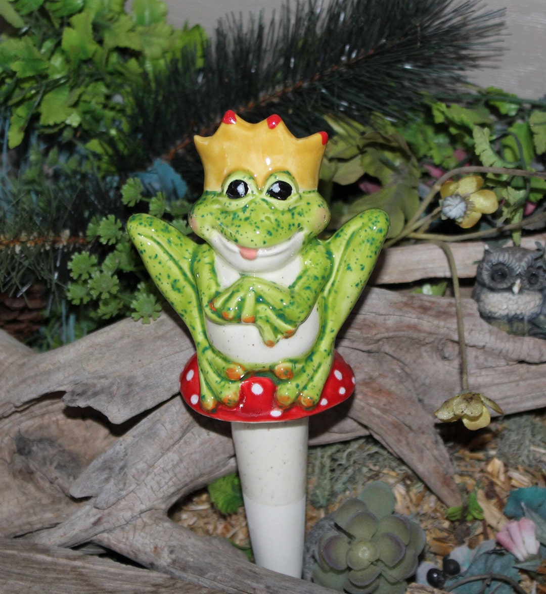 Prince Toad Water Tender Garden Frog Plant Tender on Red Amanita ...