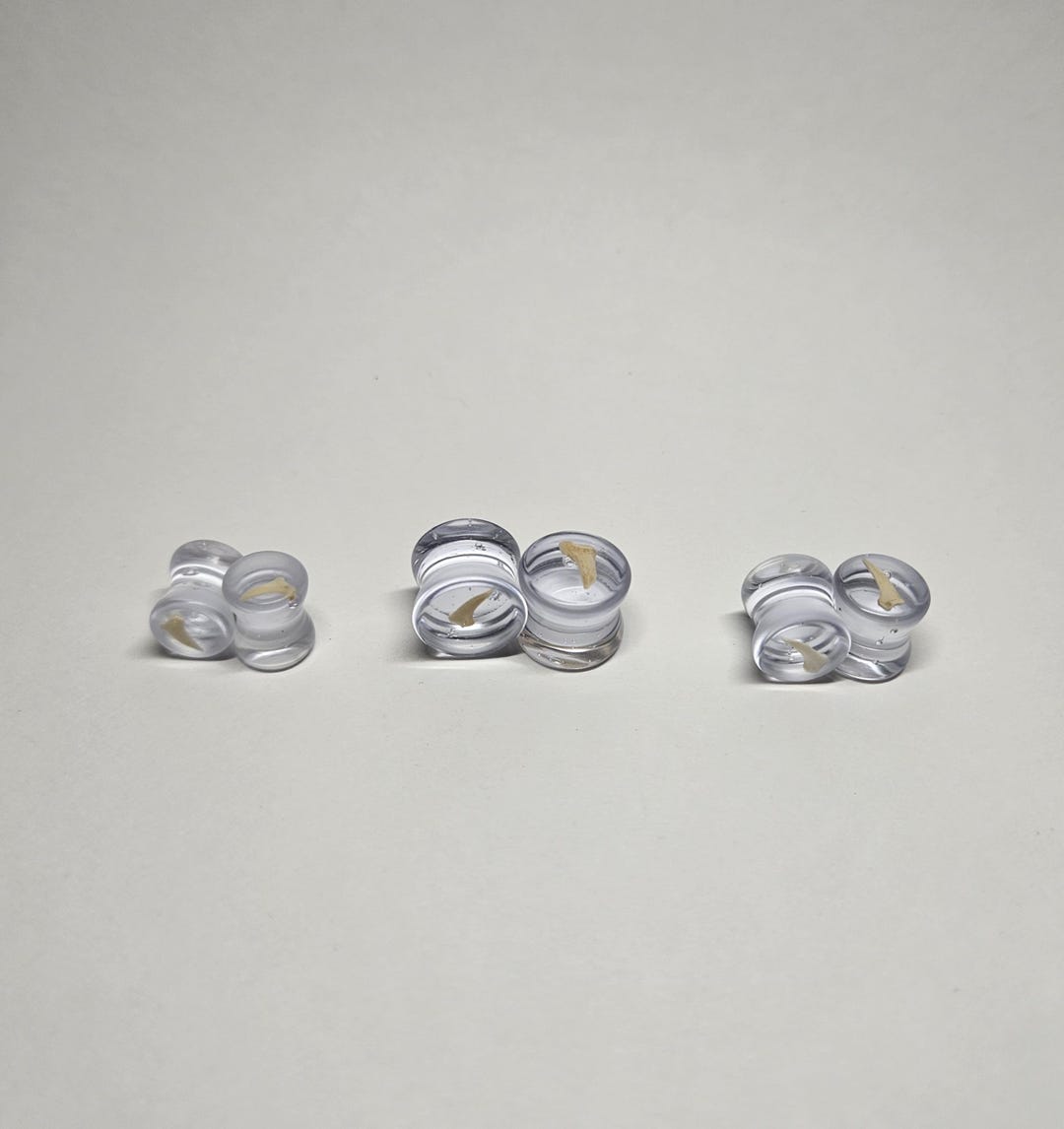 Rabbit Claw Bone Gauge Pair - Etsy