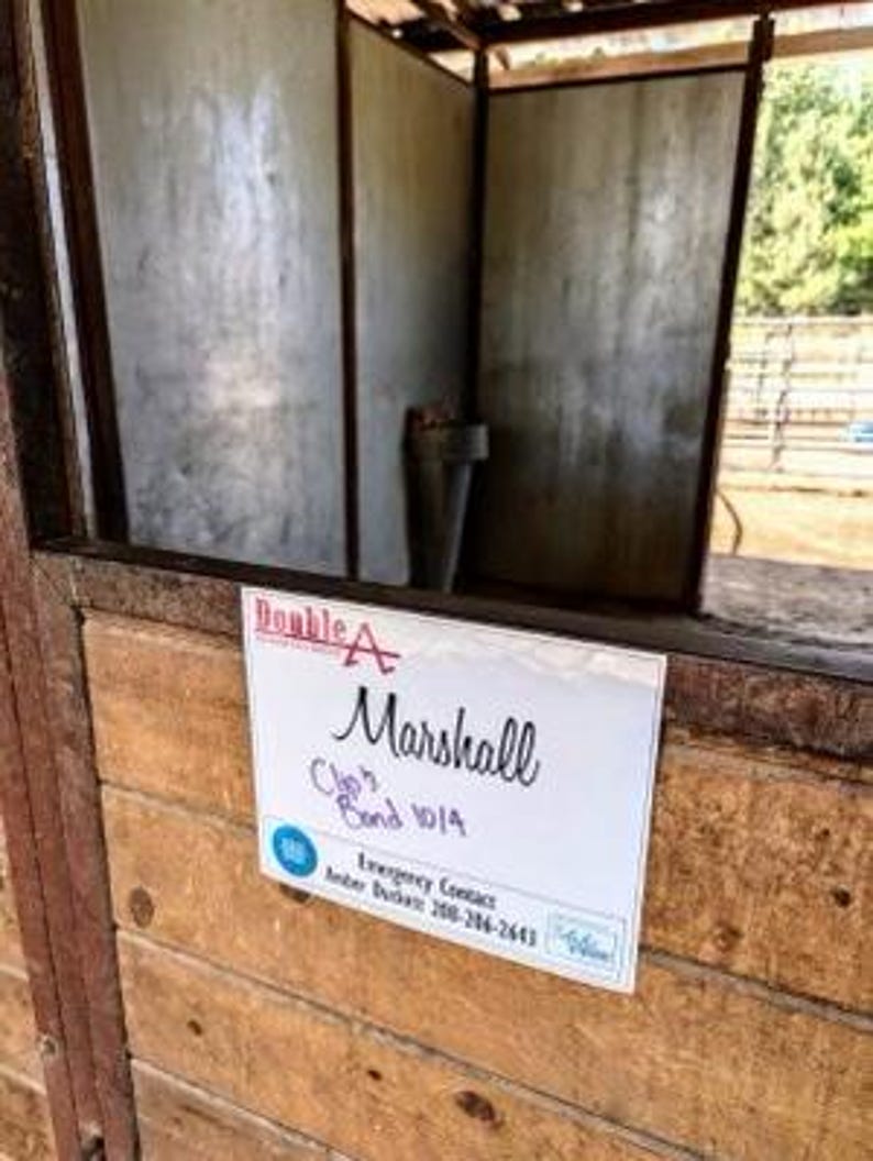 Customizable Horse Show Stall Sign Dry Erase & Magnetic - Etsy