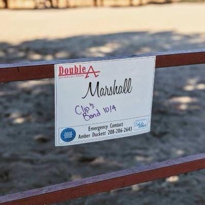 Customizable Horse Show Stall Sign Dry Erase & Magnetic - Etsy