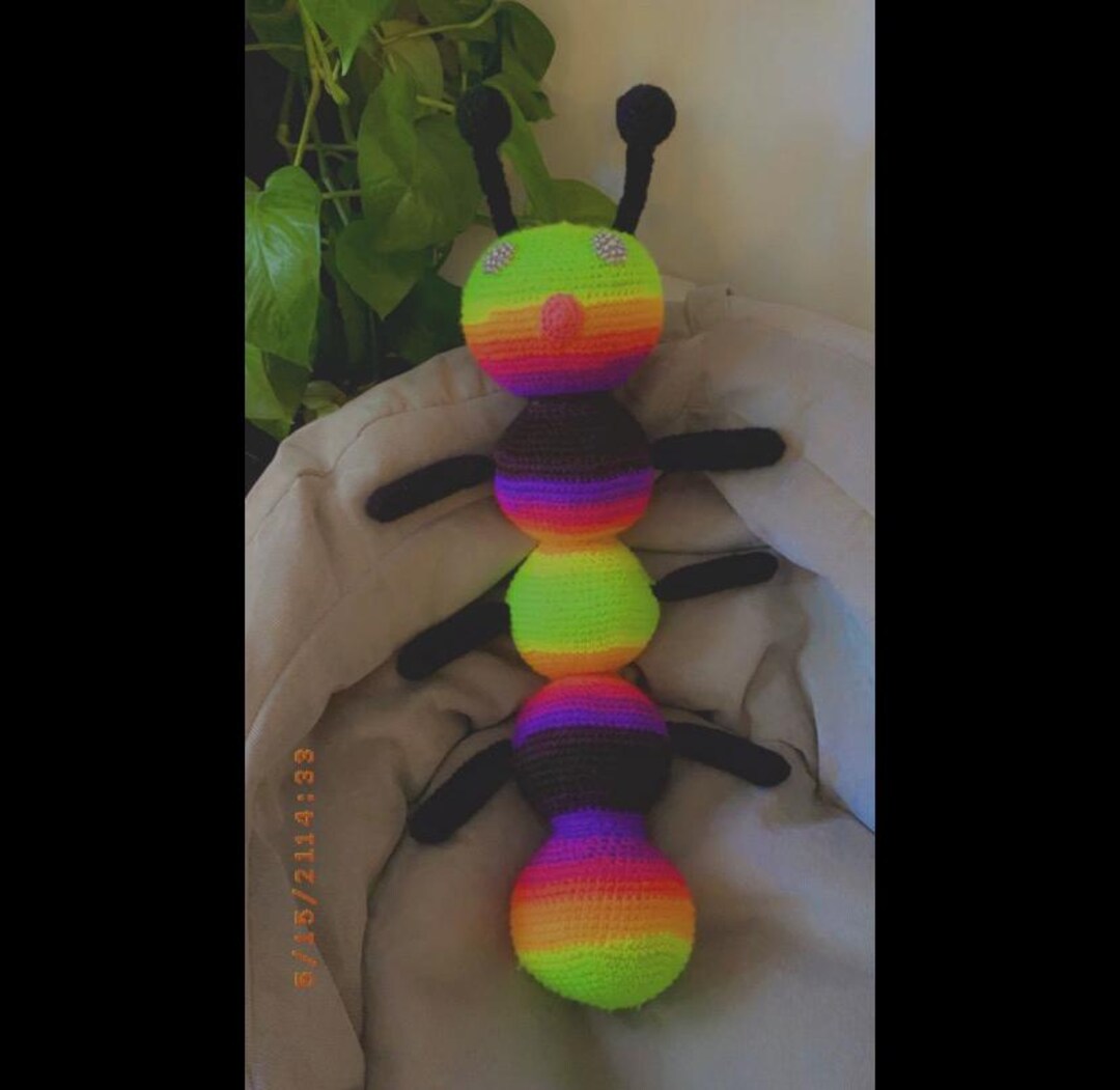 Neon Rainbow Caterpillar - Etsy
