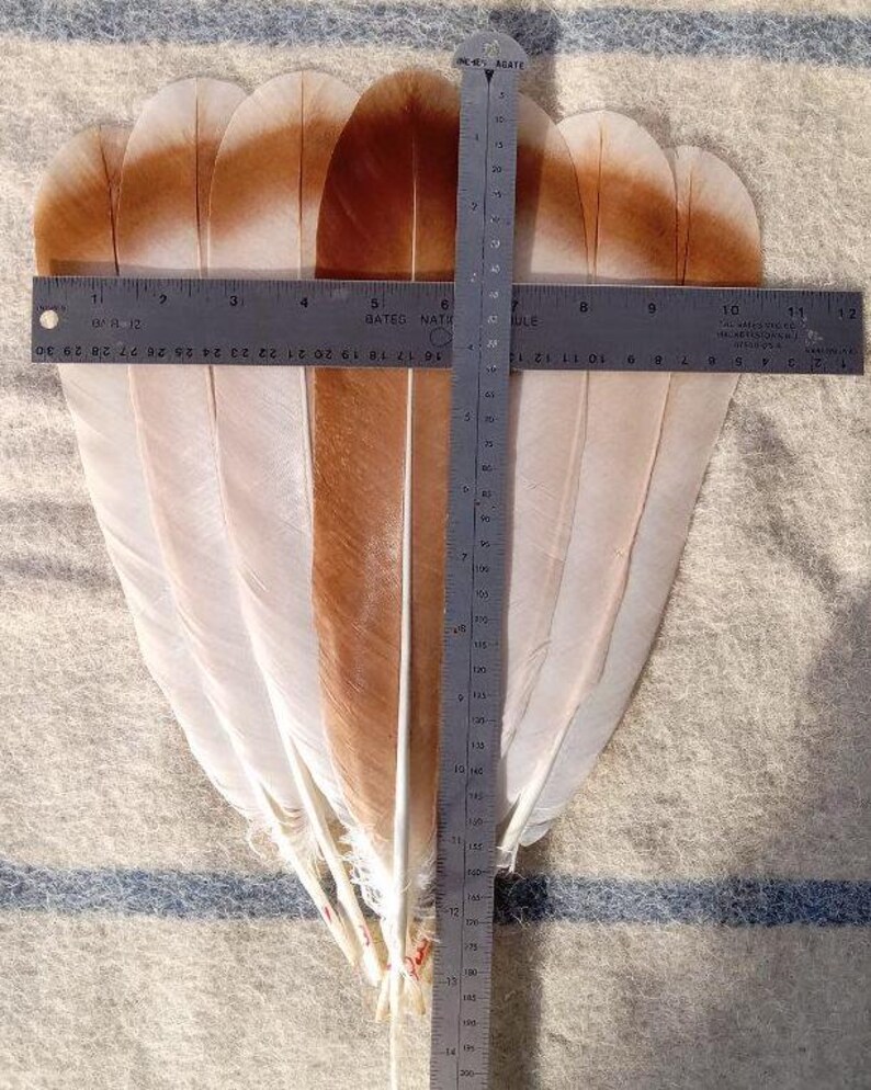 514 Pow Wow Dance Fan Set - Etsy