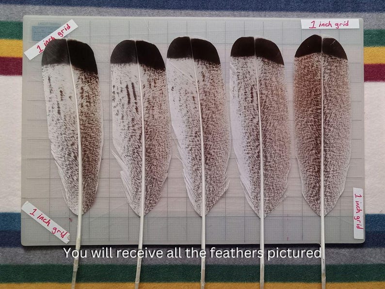 F105 - Pow Wow Dance Fan Set - Etsy Canada