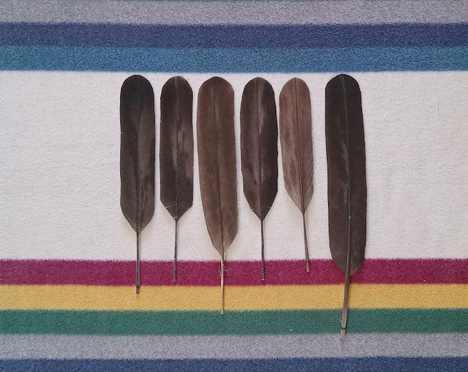 650 - Legal Hawk Feather Set - Etsy