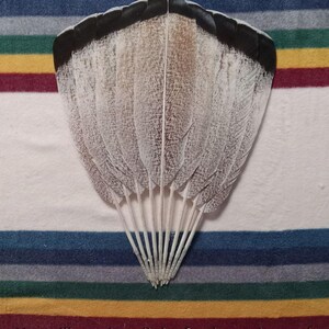 F105 - Pow Wow Dance Fan Set - Etsy Canada