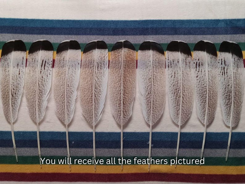 F105 - Pow Wow Dance Fan Set - Etsy Canada