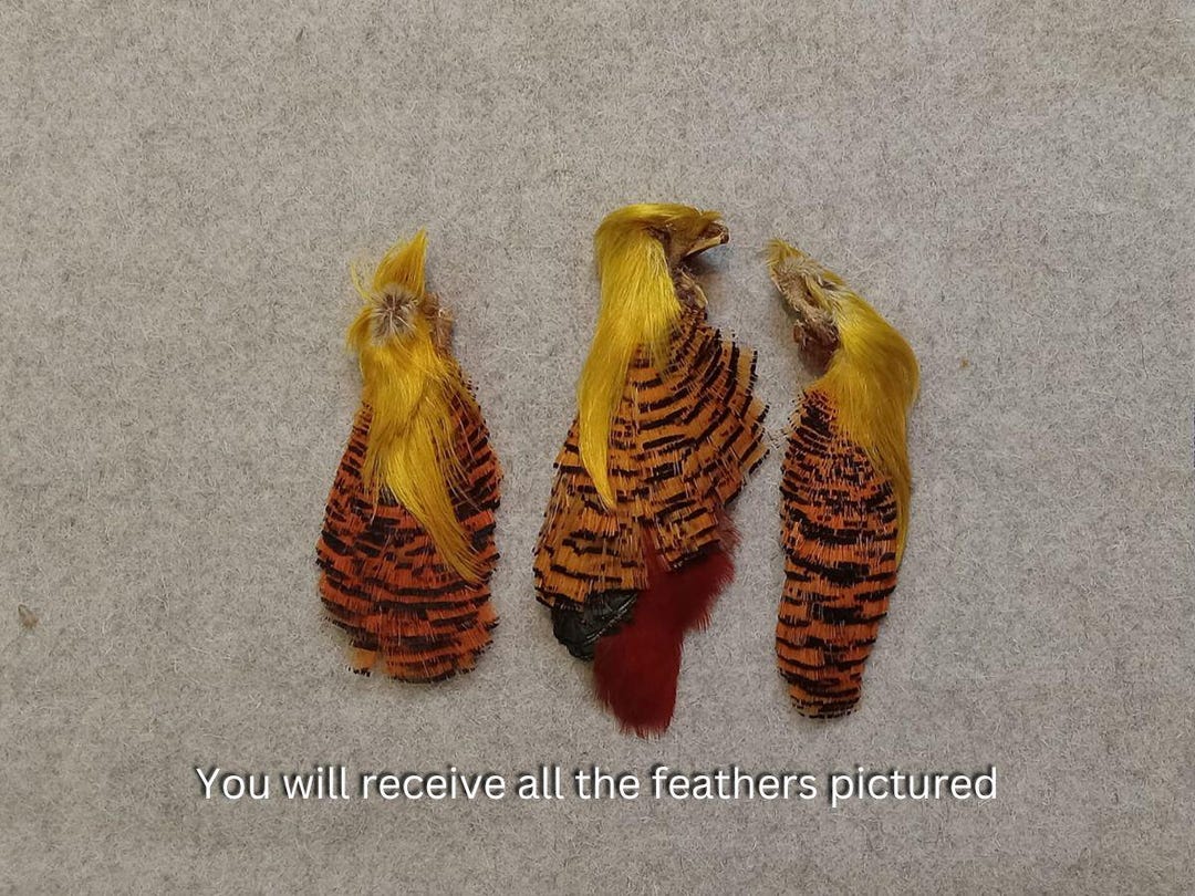 X140 - Golden Pheasant Crown and Crest - Etsy