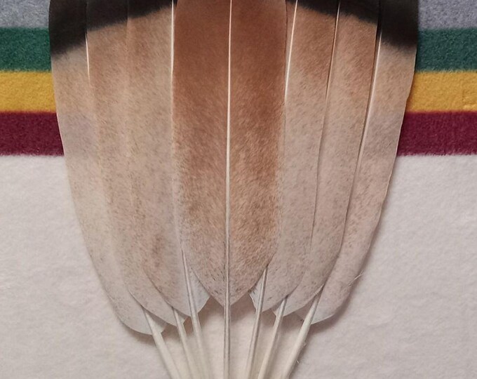 F103 - Pow Wow Dance Fan Set - Etsy