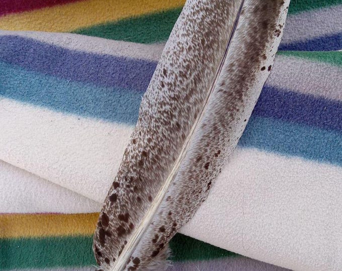 548 - Extra Large Wing Feather - Etsy