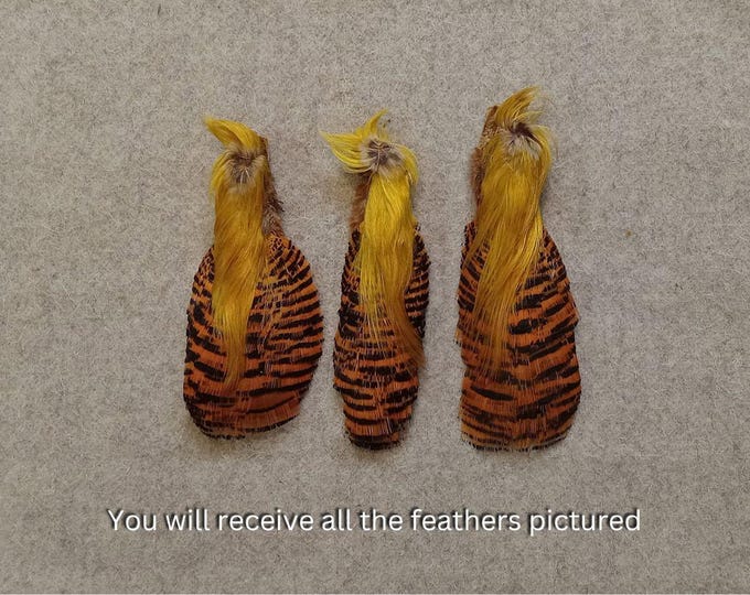 X120 - Golden Pheasant Crown and Crest - Etsy