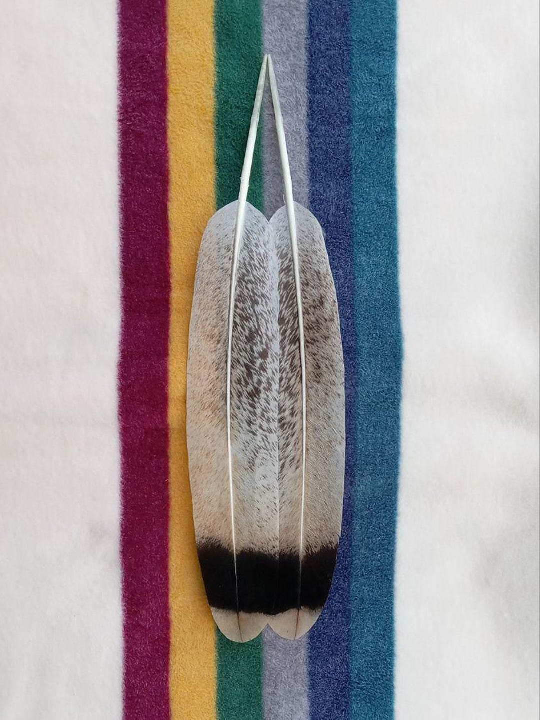 111 - Pair of Scalp Feathers - Etsy