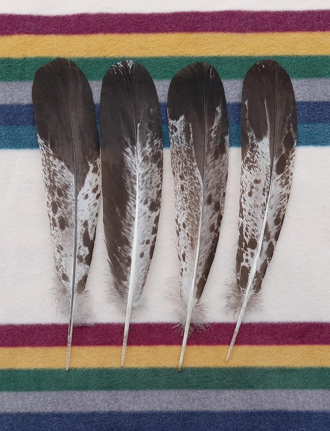 W103 - Coup Stick Feathers - Etsy