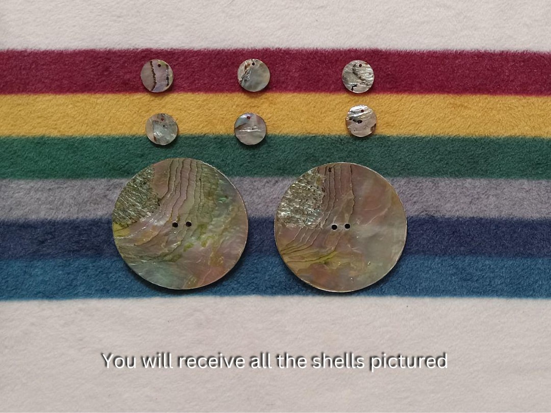 M107 - Drilled Abalone Disc Set - Etsy