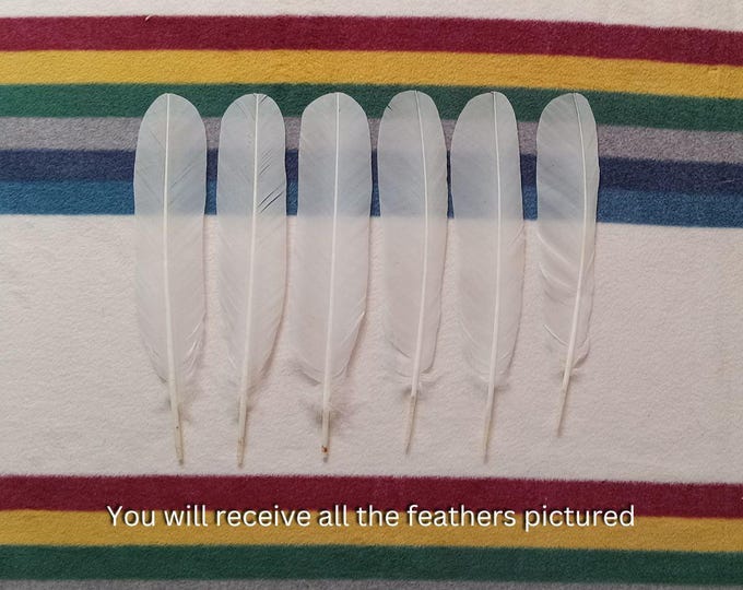 650 - Legal Hawk Feather Set - Etsy