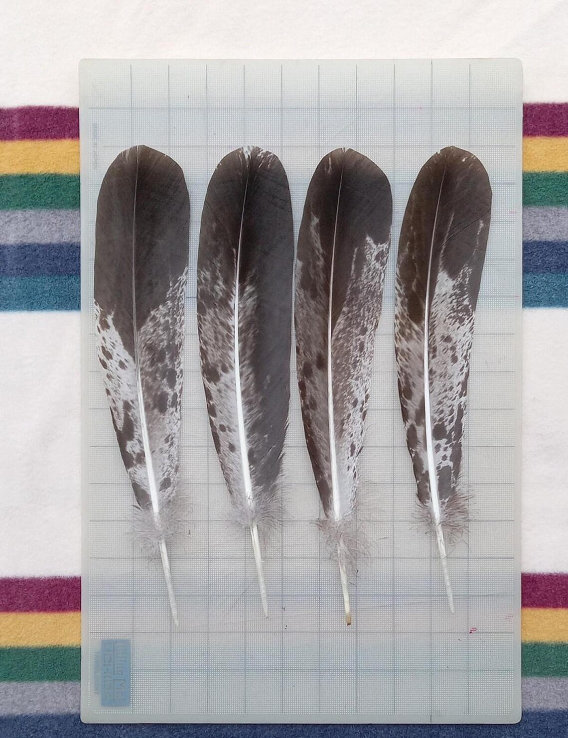W103 - Coup Stick Feathers - Etsy