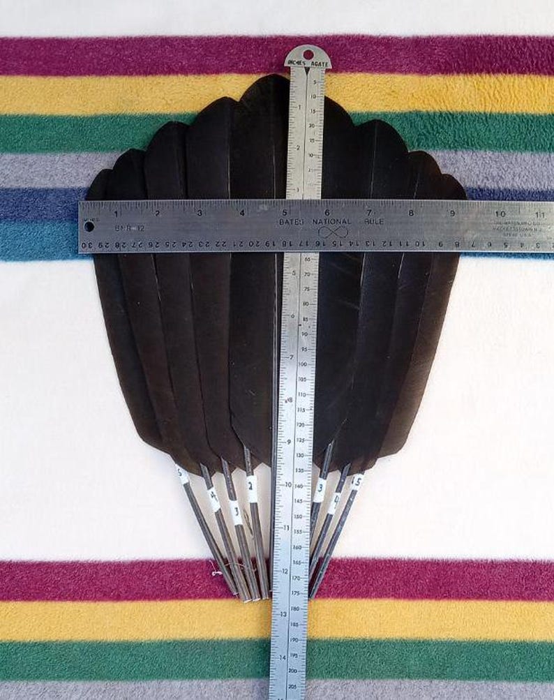 F255 - Legal Large Raven Tail - Etsy