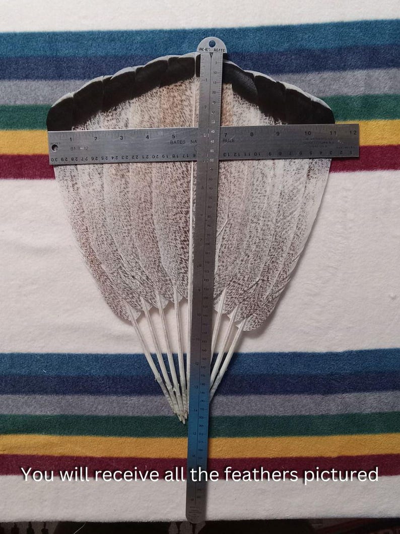 F105 - Pow Wow Dance Fan Set - Etsy Canada