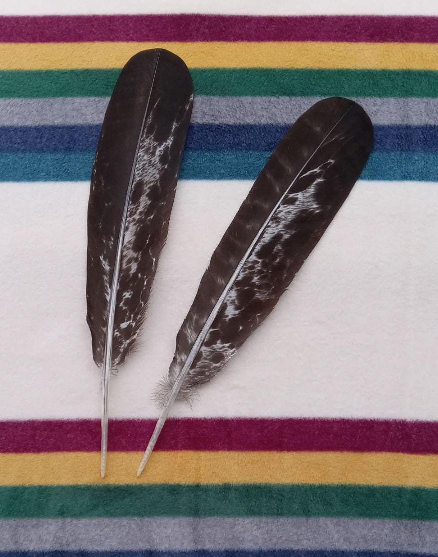 T045 - Mottled Tail - Etsy