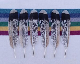 650 - Legal Hawk Feather Set - Etsy