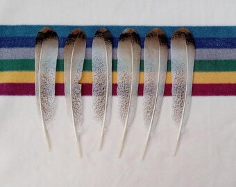 650 - Legal Hawk Feather Set - Etsy