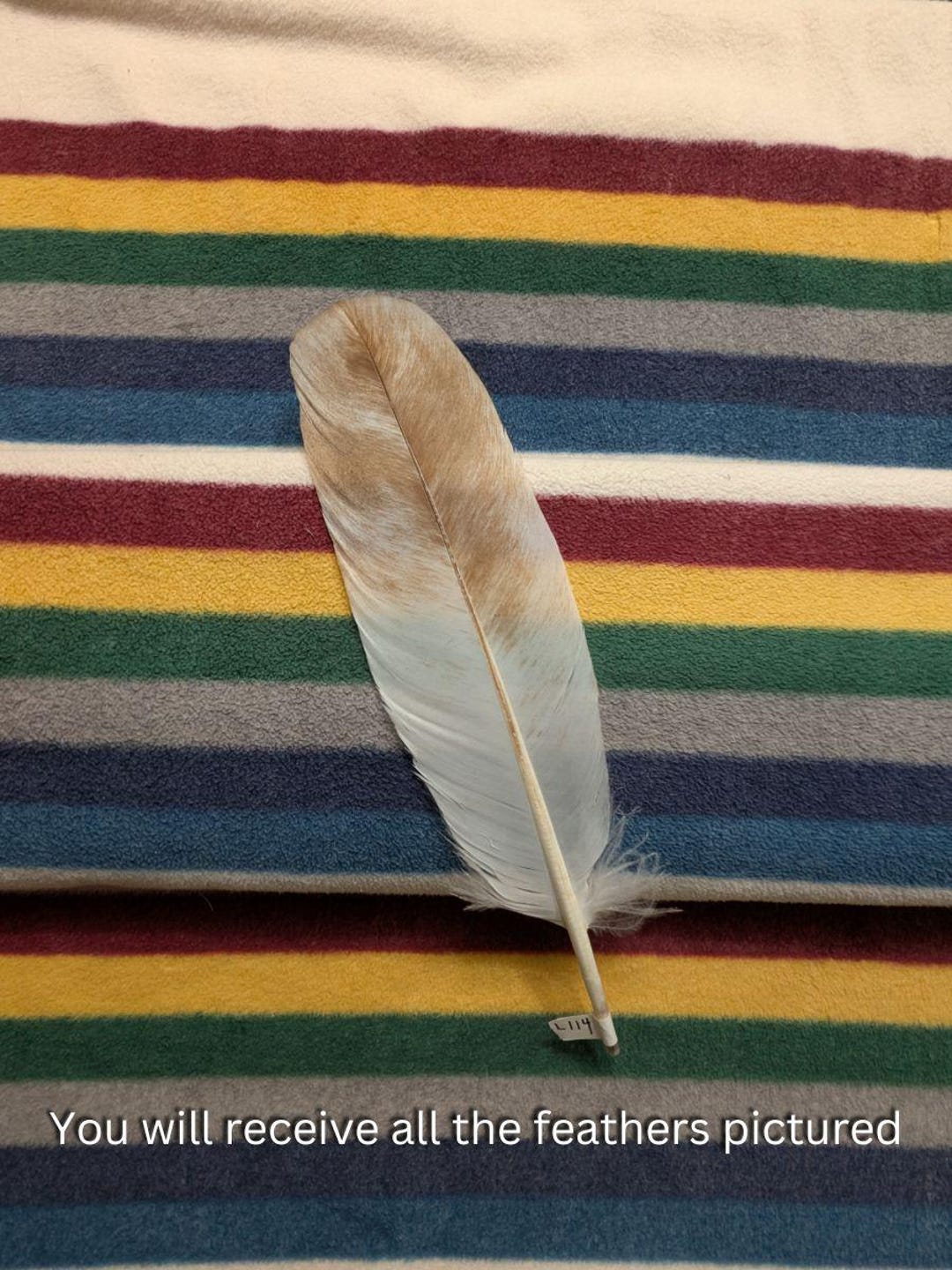 L114 - Extra Large Wing Feathers - Etsy