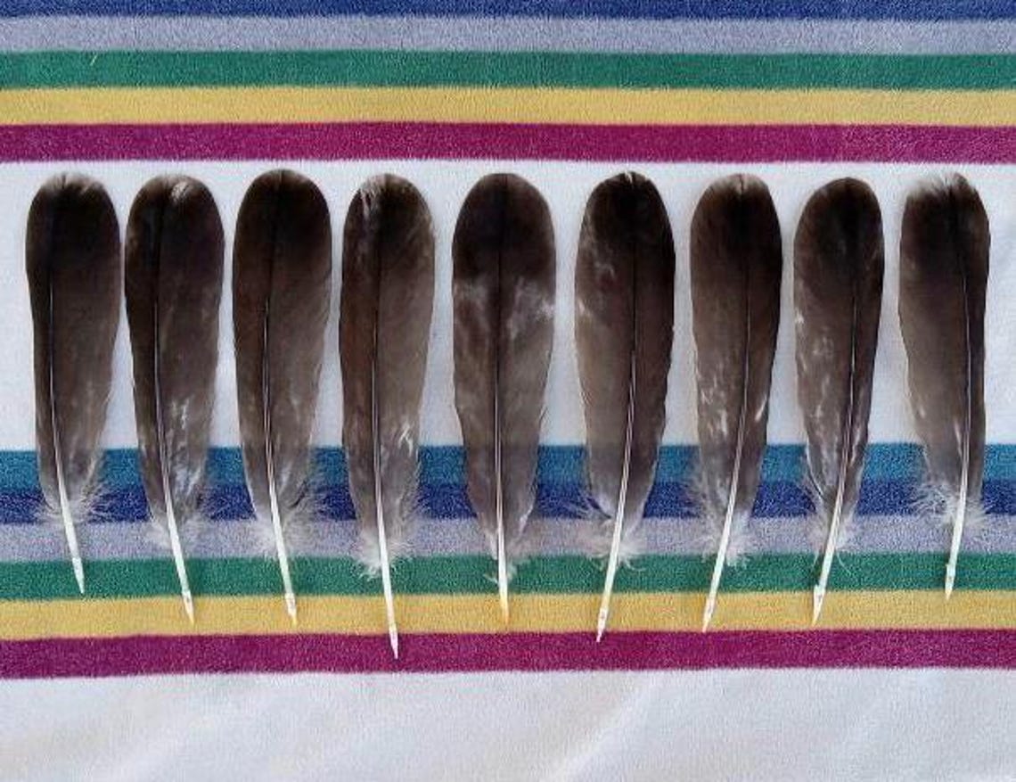 805 - Marbled Tail Feathers - Etsy