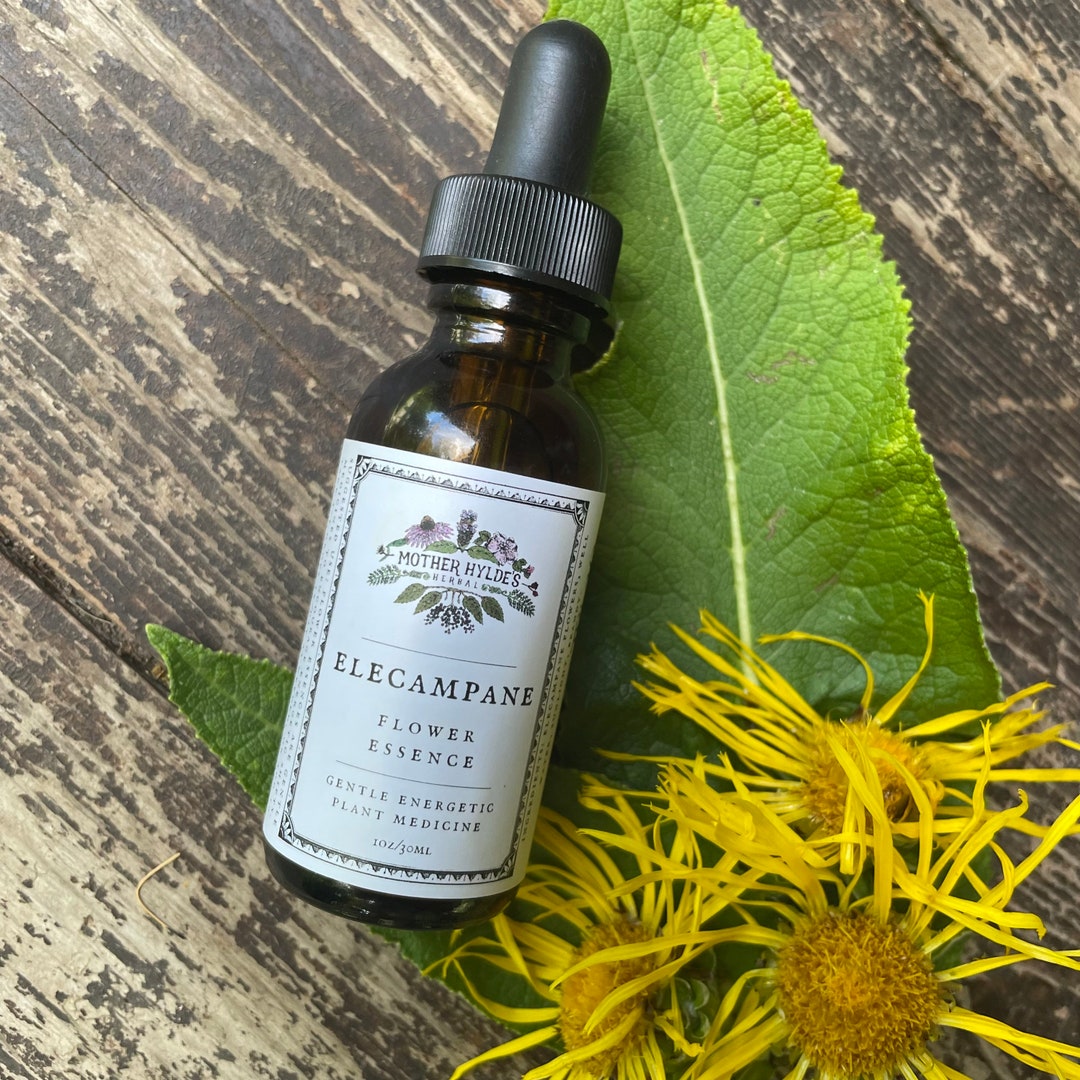 Elecampane Flower Essence Mother Hylde's Herbal Energetic Tincture Bach ...