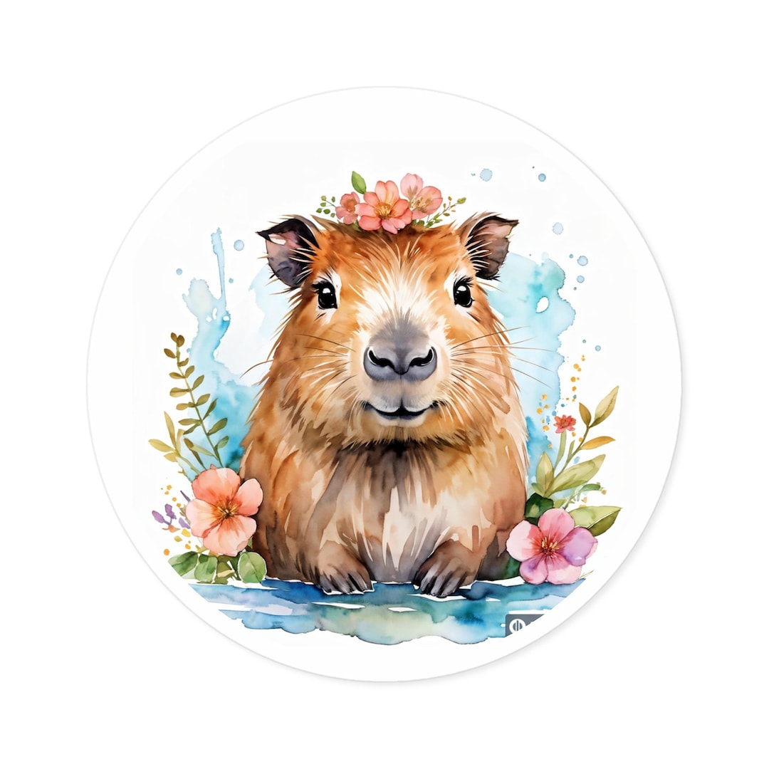 Capybara Spa Day - Etsy