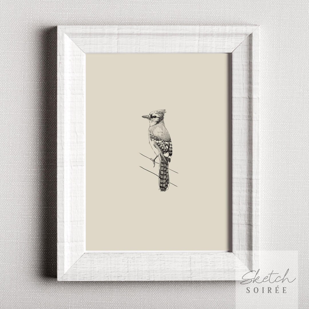 Blue Jay Wall Art | Hand-drawn Pen & Ink | Minimalist Bird Illustration ...