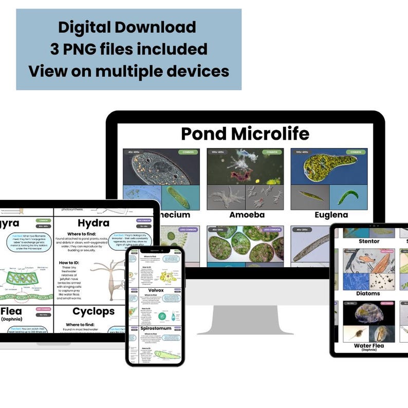 Pond Microlife Identification Chart: Biology Educational Poster ...
