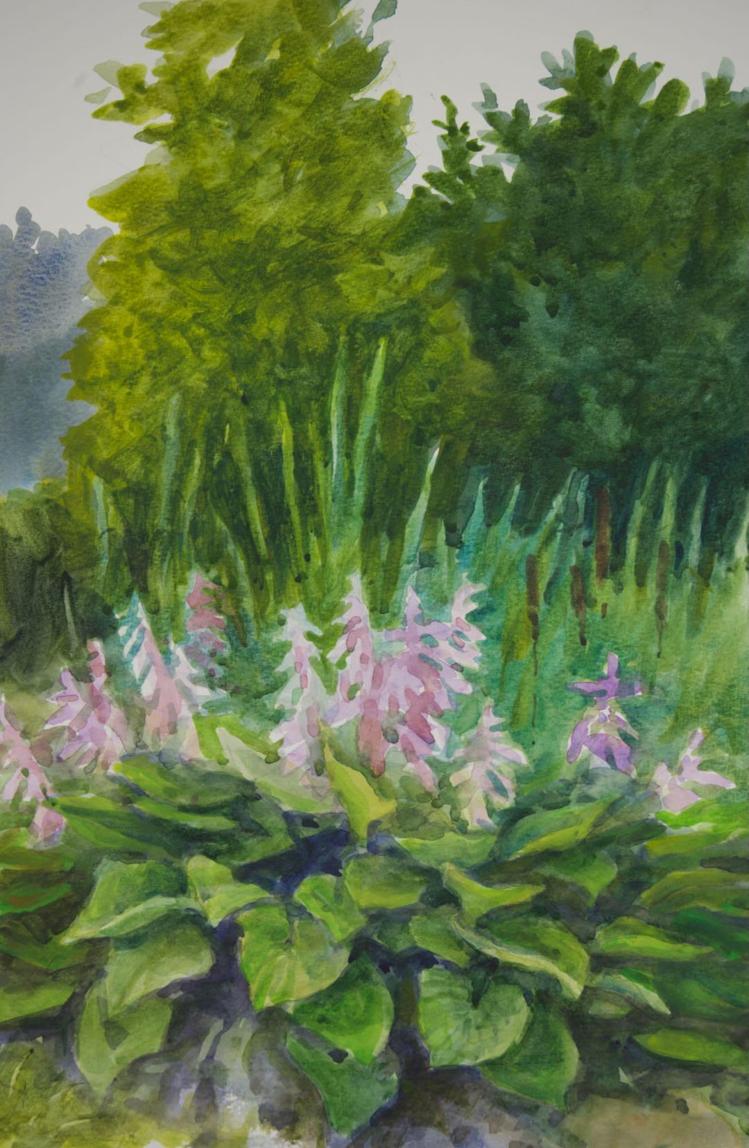 Flowering Hosta - 10" X 14" - Original Watercolor Painting by Audrey ...