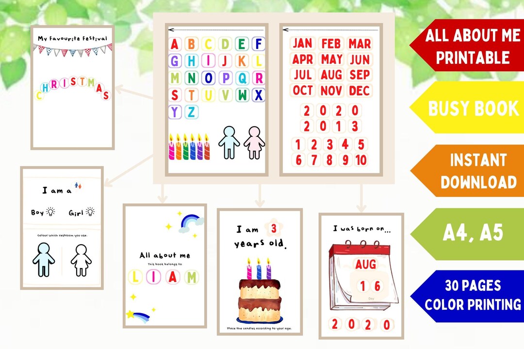 Printable 'all About Me' for Preschoolers, Toddlers, Birthday Busy Book ...