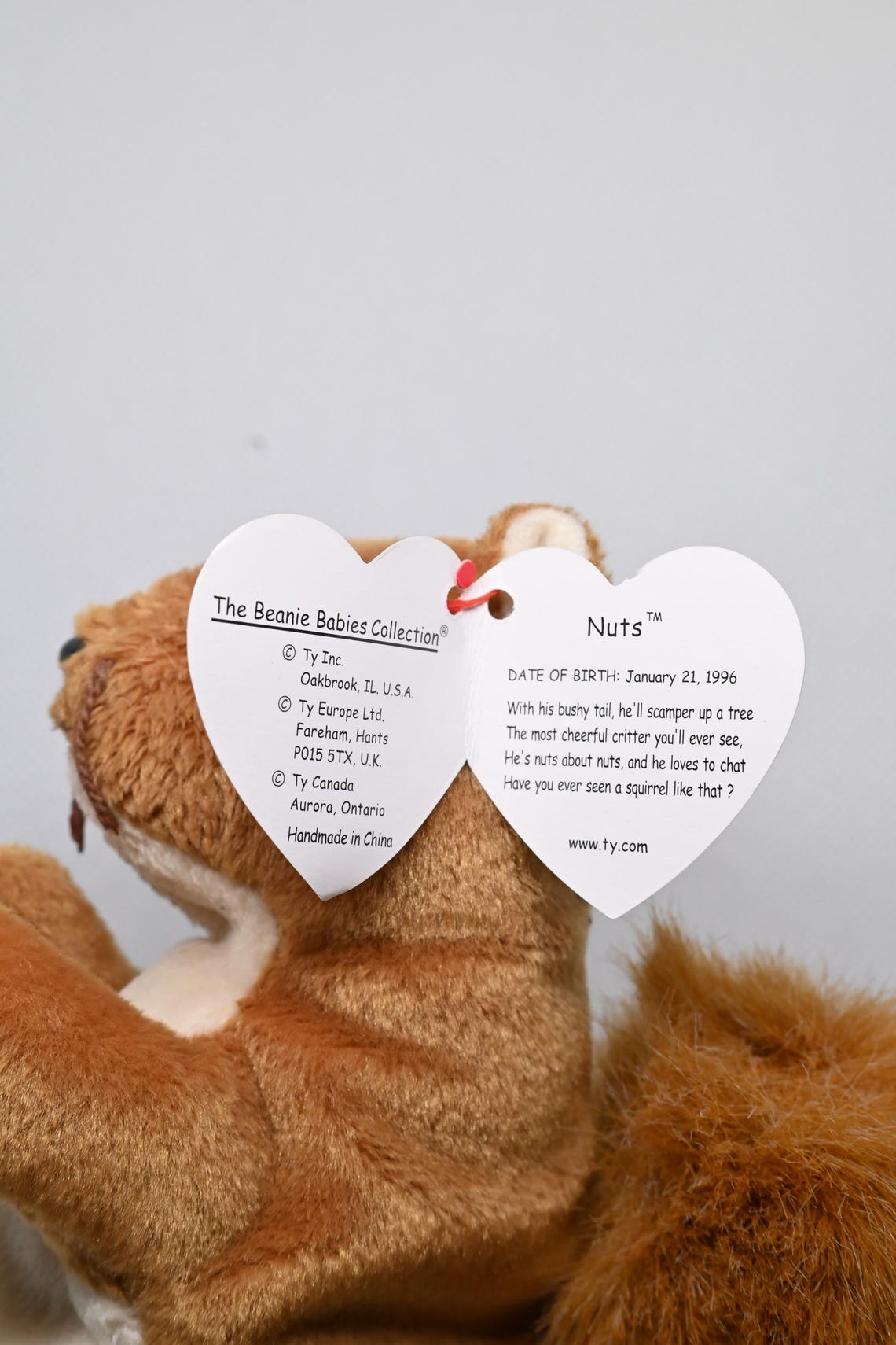 Beanie Babies Nuts - Etsy
