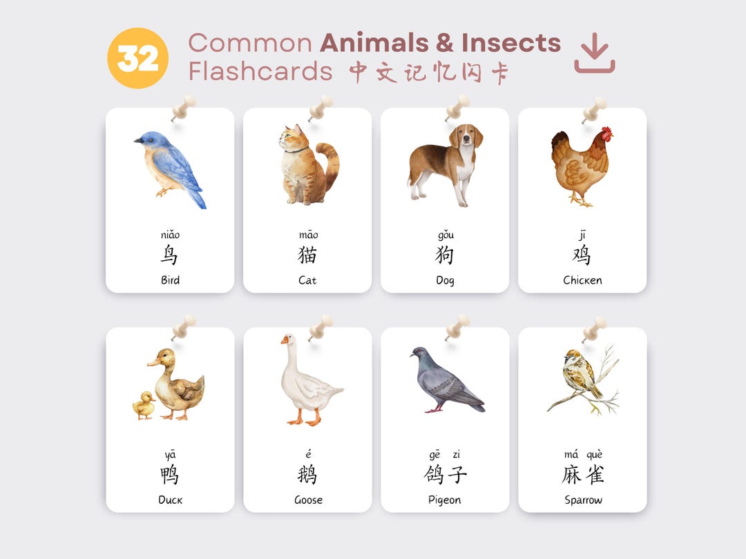32 Common Animals and Insects - Chinese Flashcards ｜ Educational Games ...