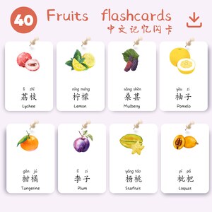 40 Common Fruits Chinese Flashcards Educational Games, Vocabulary ...
