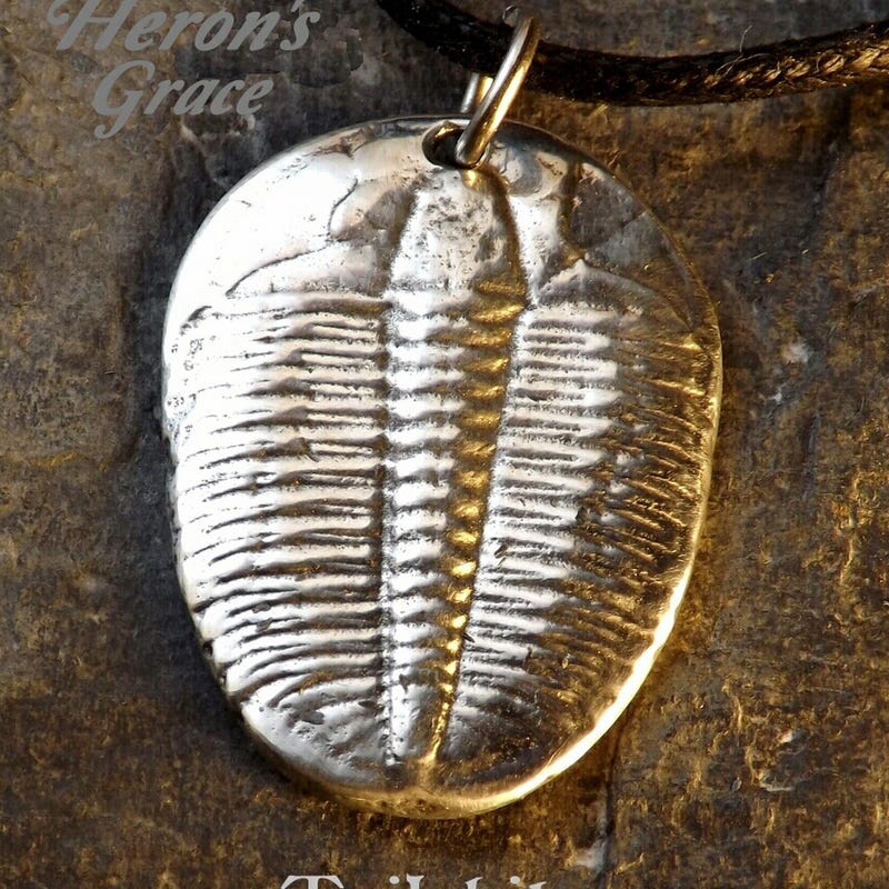 Trilobite Pendant - Etsy