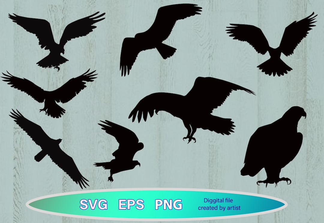 Bird of Prey Svg, Bird in Flight Svg, Predator Svg, File for Cutting - Etsy