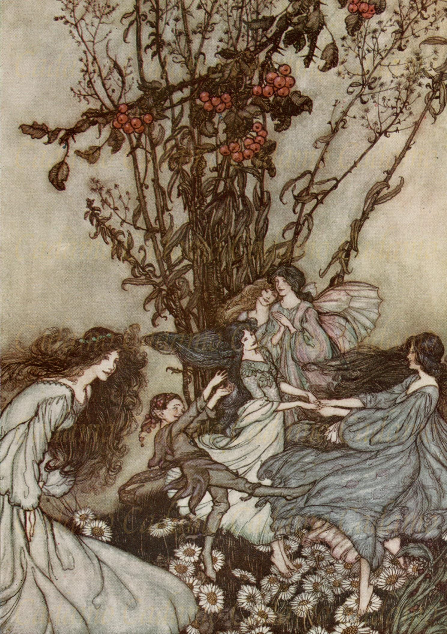 Peter Pan Arthur Rackham Illustration - Etsy