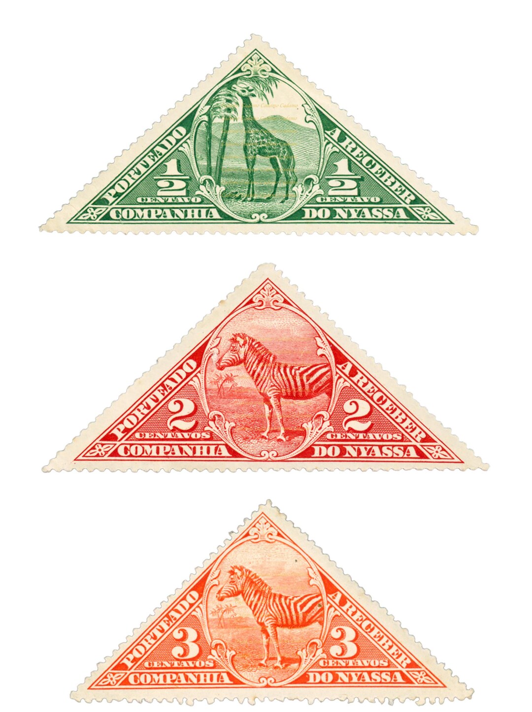 Digital Images of 1924 Nyassa Zebra Stamps 3 Files - Etsy