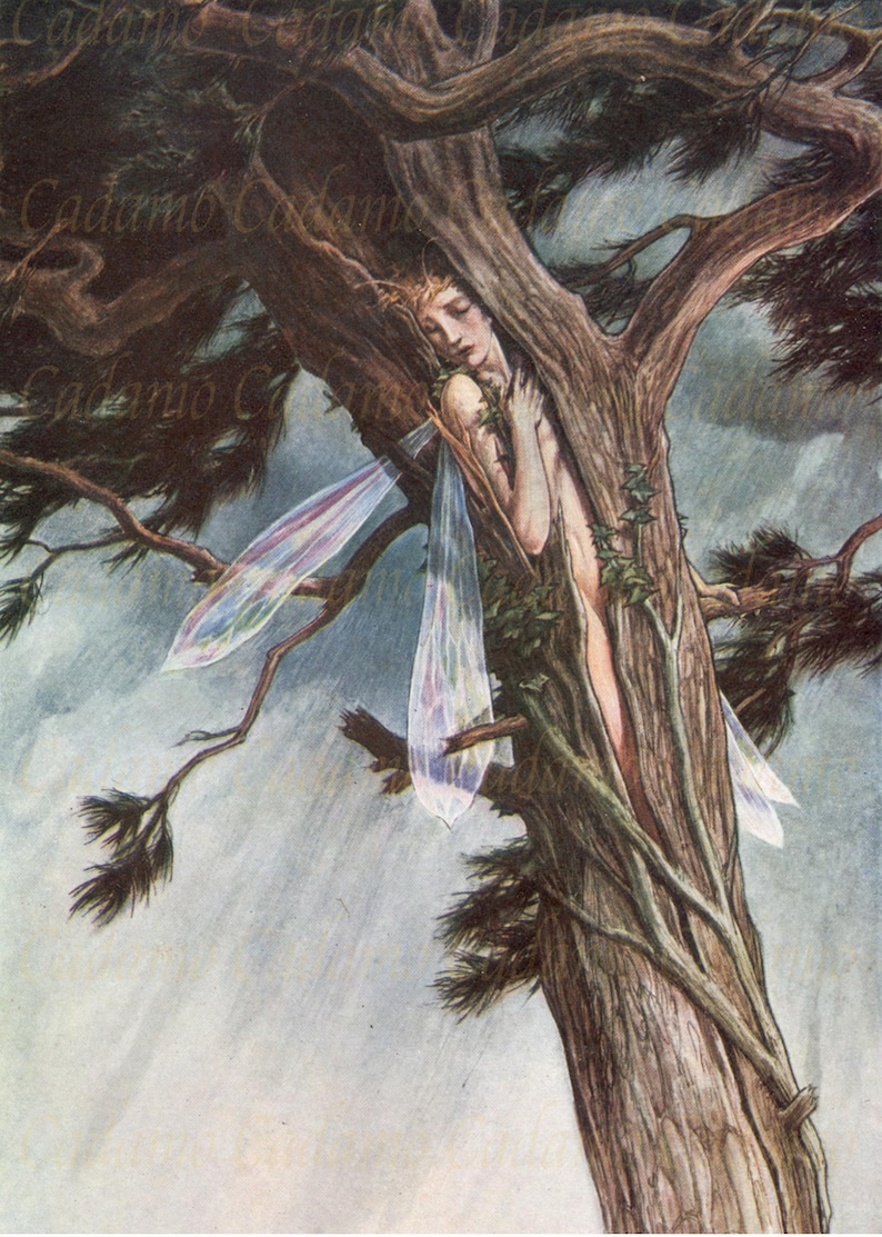 The Tempest Illustrations by Paul Woodroffe 1910. Card or Print - Etsy