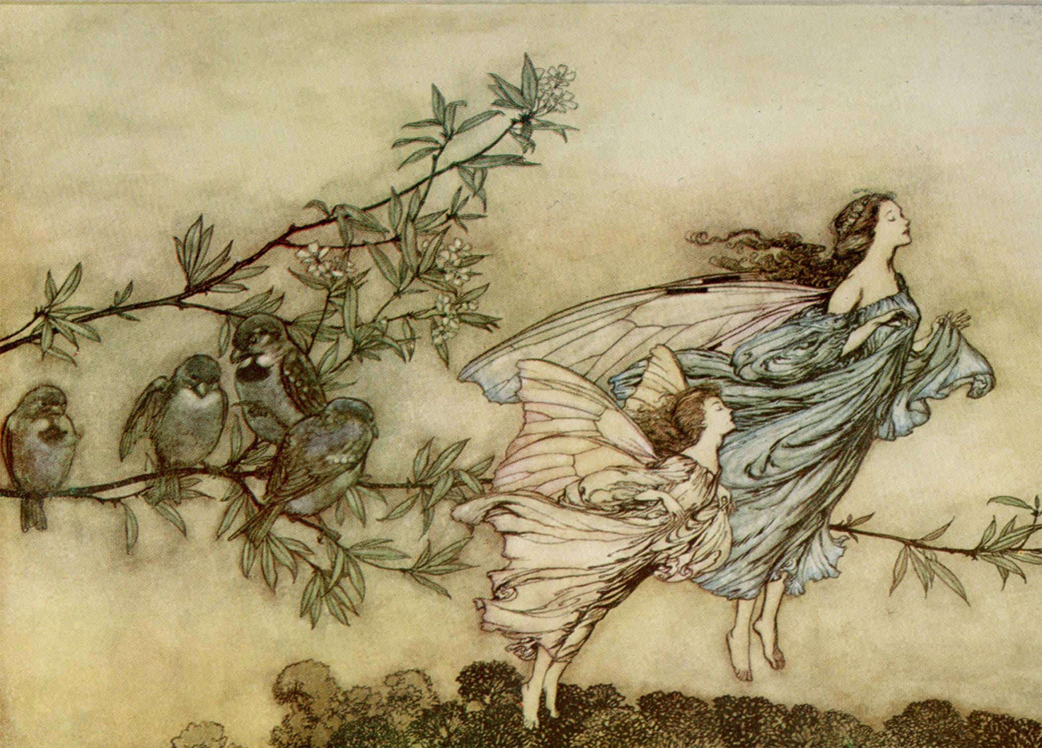 Peter Pan Arthur Rackham Illustration - Etsy
