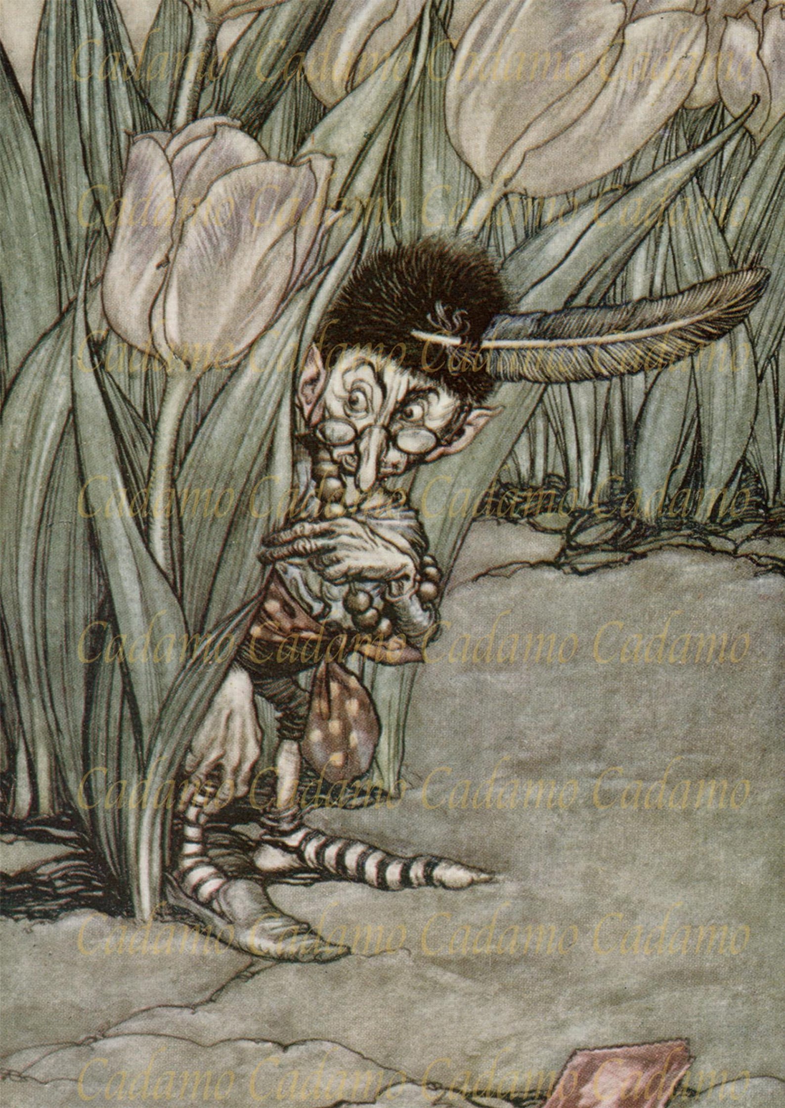 Peter Pan Arthur Rackham Illustration - Etsy