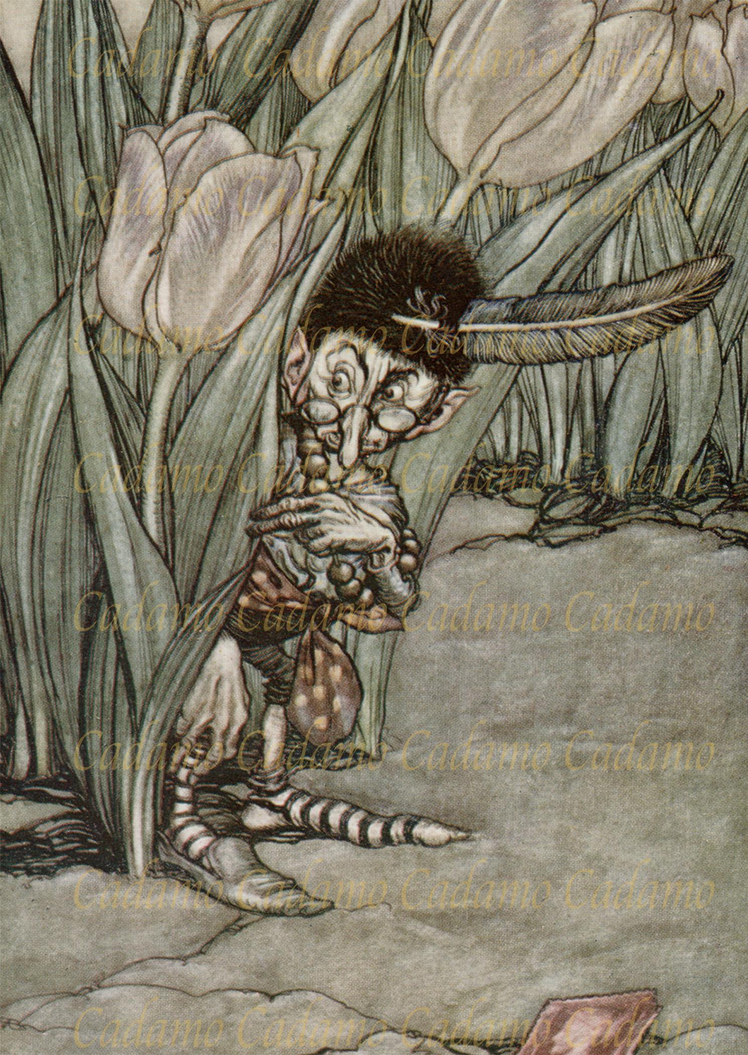 Peter Pan Arthur Rackham Illustration - Etsy